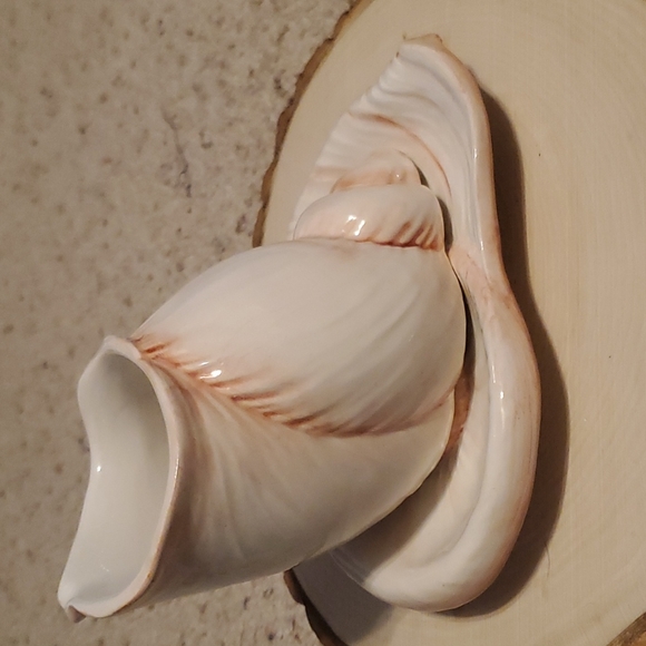 The Mane Lion | Dining | The Mane Lion Shell Design Art Pottery Set ...